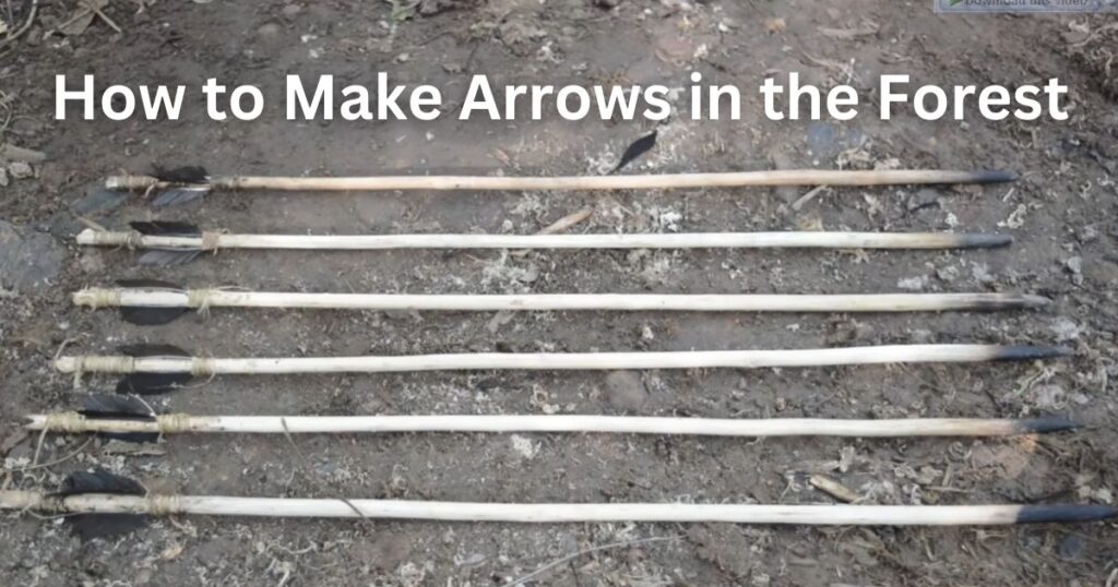 How to Make Arrows in the Forest: A Comprehensive Guide