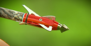 What are the Three Basic Types of Broadheads | infoarchery.com