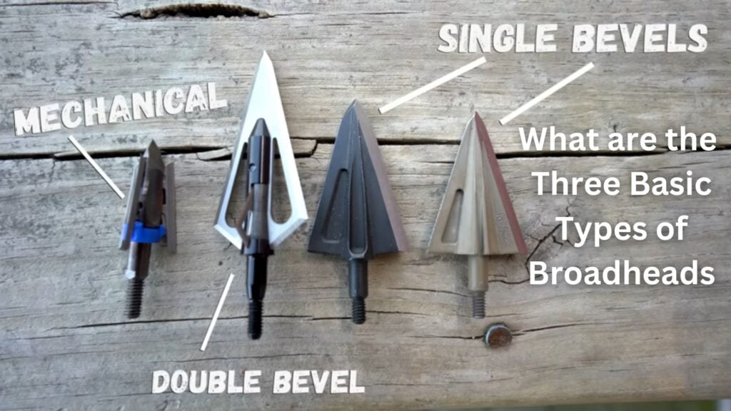 What are the Three Basic Types of Broadheads | infoarchery.com