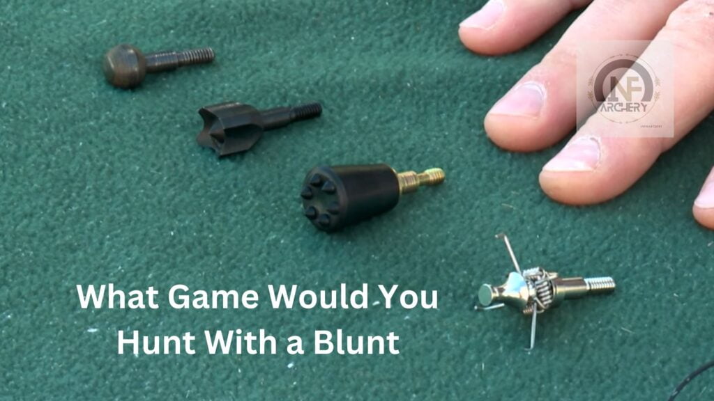 What Game Would You Hunt With a Blunt: Unconventional Tactics