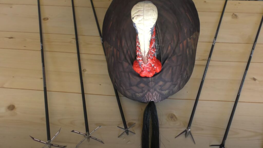 Bowhunting Turkey: Master the Art and Bag Your Trophy!